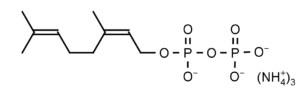 Geranylgeranyl Diphosphate (GGPP) - Echelon Biosciences